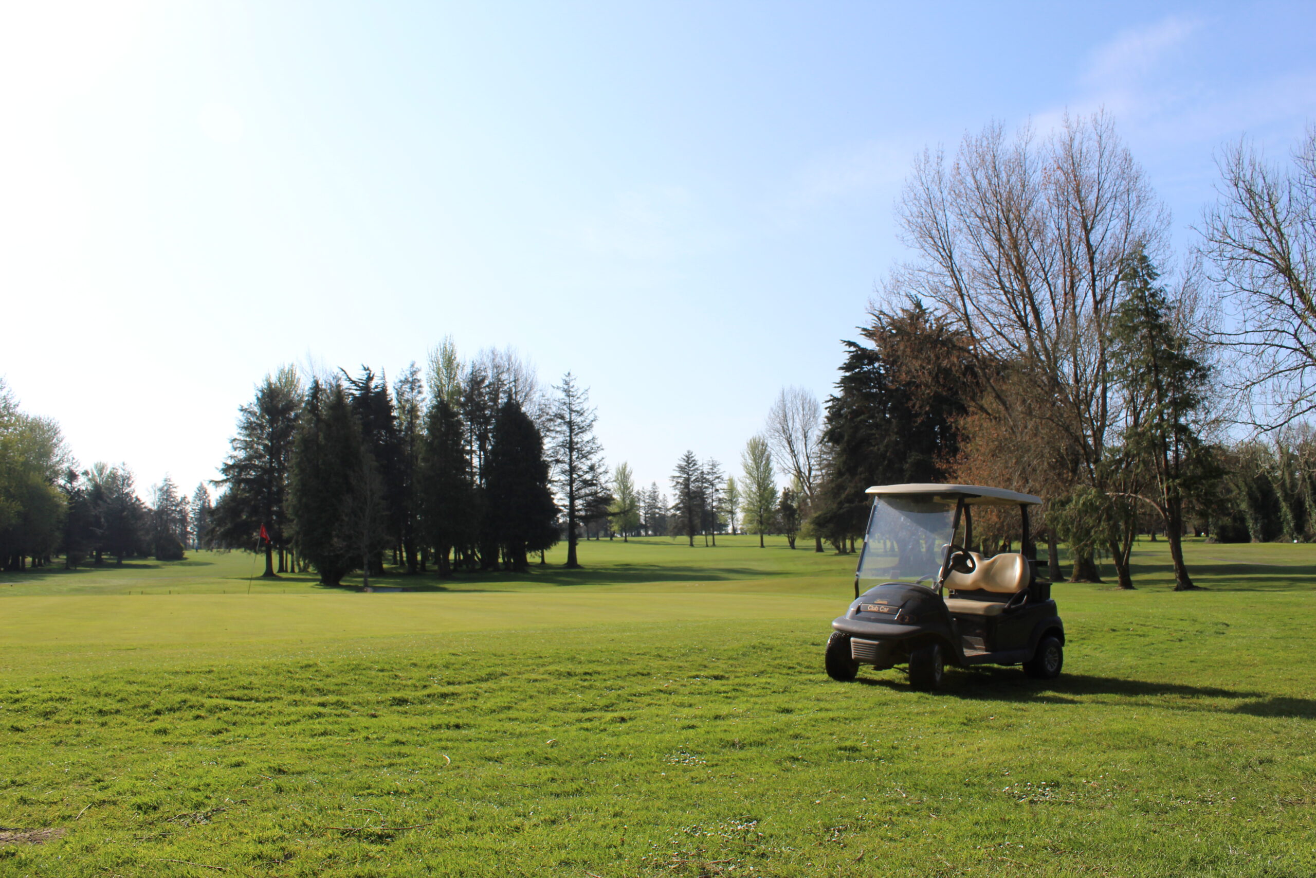 Stay And Play Golf Packages | Golf Breaks | Charleville Park Hotel